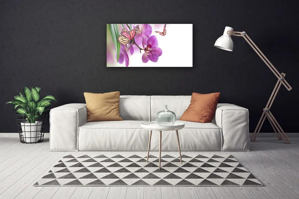 Obraz na plátně Motýli Květiny Příroda 120x60 cm