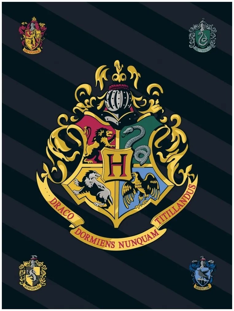 Fleecová deka Harry Potter s erbem čarodějnické školy v Bradavicích