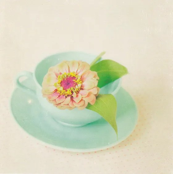 ART-STYLE Obrázek 18x18, šálek s květinou, rám sv. dub - červotoč