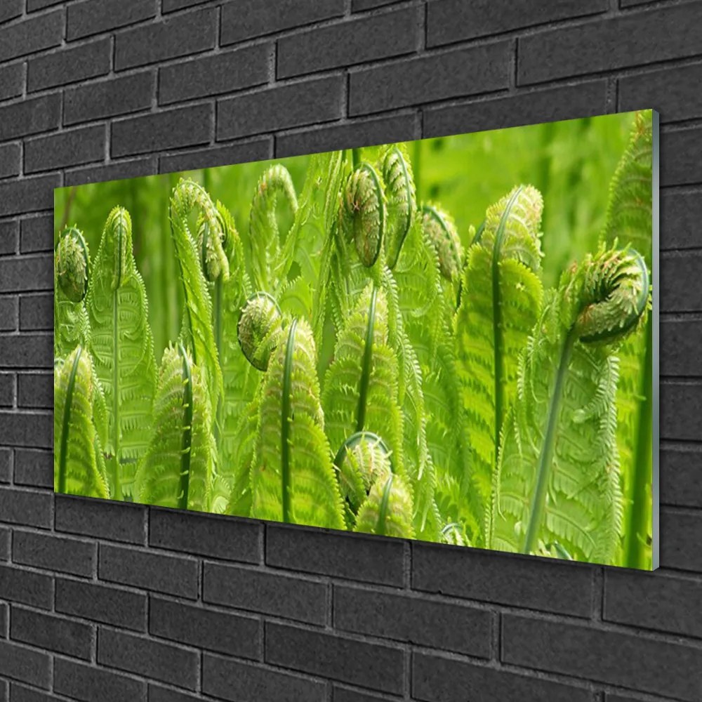 Obraz na skle Rostlina Příroda 140x70 cm