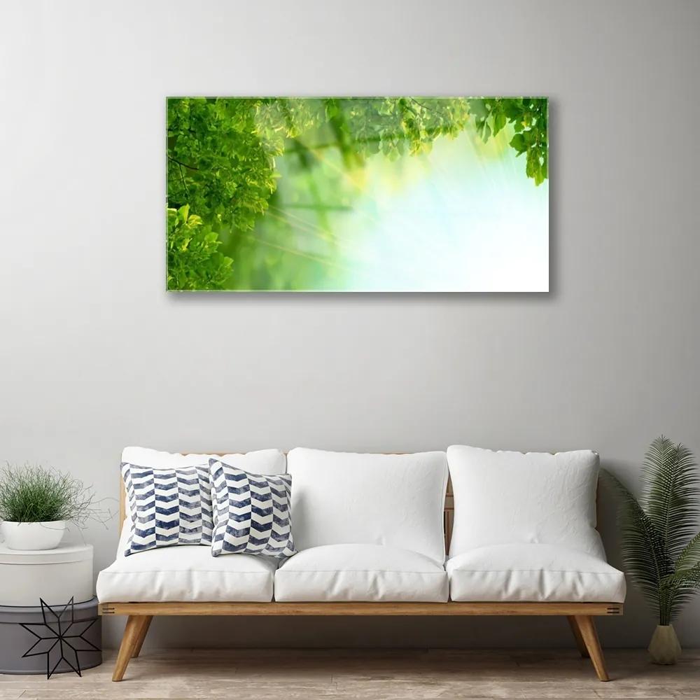 Obraz na skle Listy Příroda Rostlina 140x70 cm