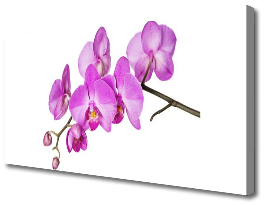 Obraz na plátně Vstavač Orchidej Květiny 100x50 cm