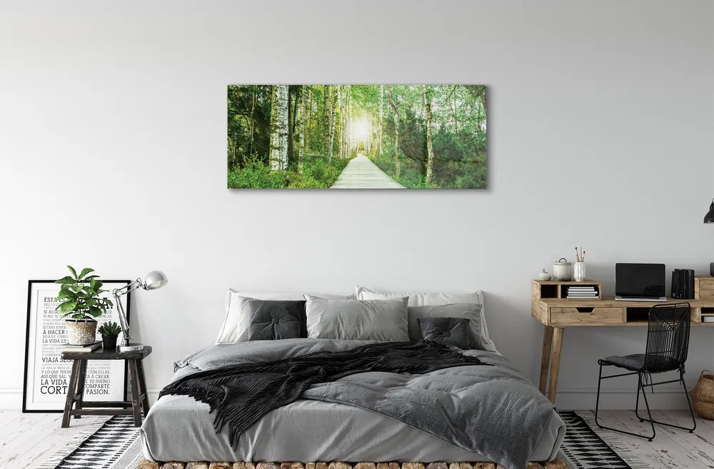 akrylový obraz Bříza lesní cesta 120x60 cm