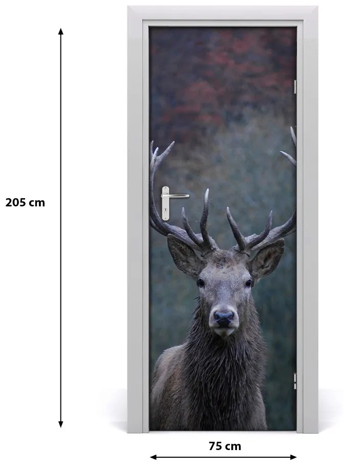Fototapeta samolepící na dveře jelen příroda 75x205 cm