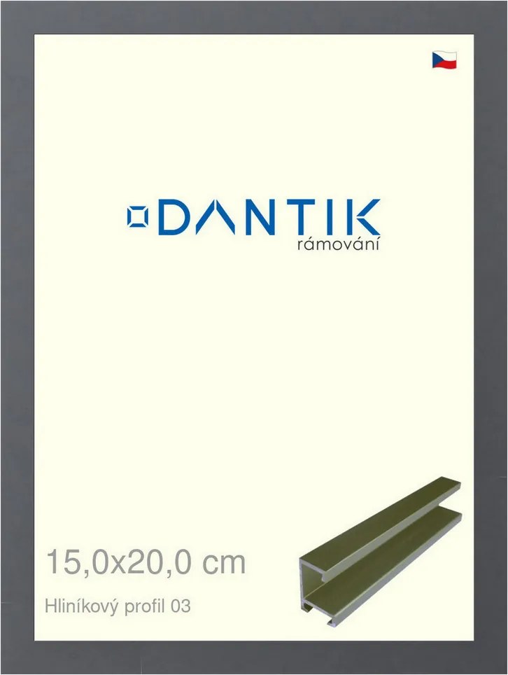 DANTIK rámeček 15x20 | ALU profil 7003 Platina matná (Sklo Čiré)