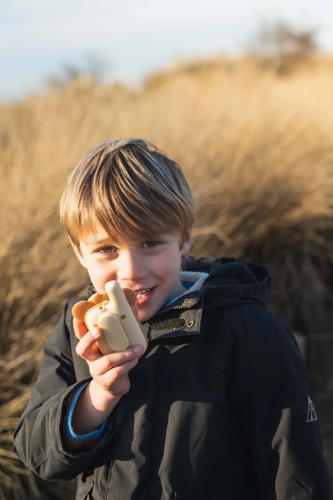 Dětské vysílačky Zoo Walkie Talkie - králík - medvěd