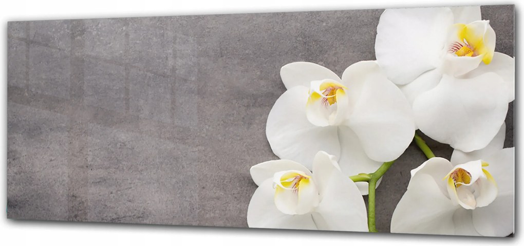 Skleněný obraz 125x50 grafika za sklem orchidej