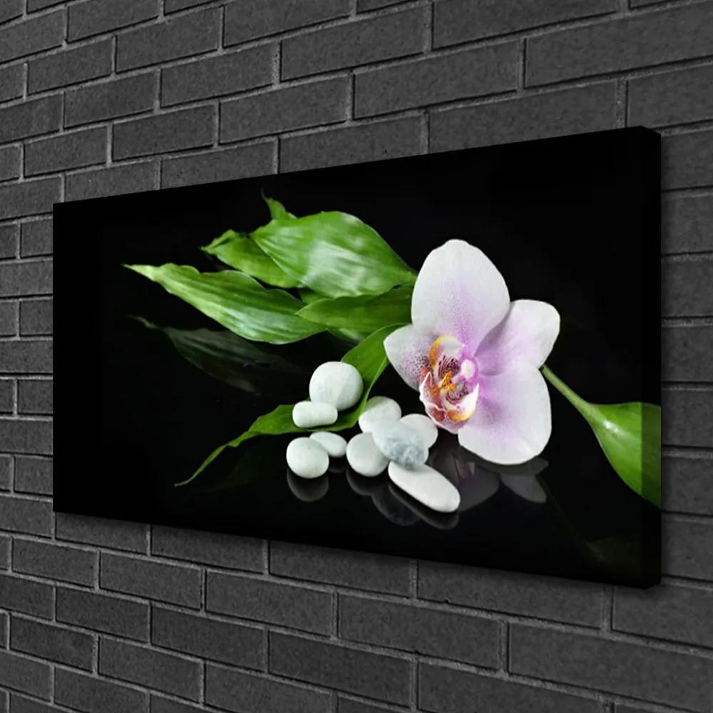 Obraz na plátně Květ Kameny Listí 120x60 cm