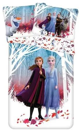 Dětské povlečení s motivem pohádky Frozen | BIANO