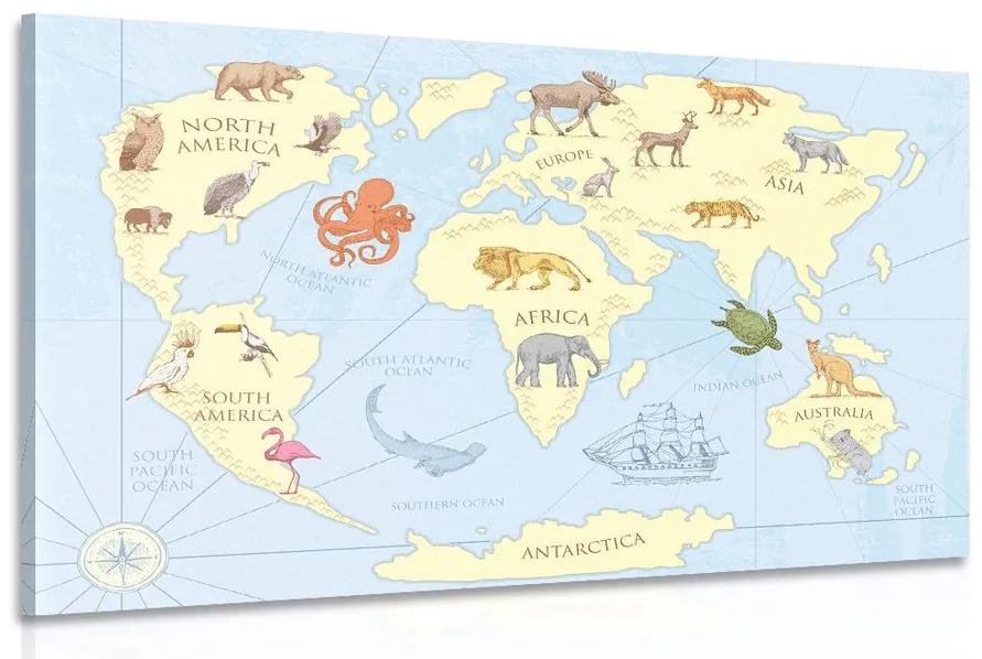 Obraz mapa světa se zvířaty Varianta: 60x40