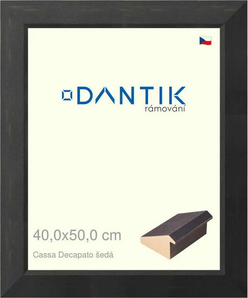 DANTIK rámeček 40x50 | Caa Decapato černá (Sklo Čiré)