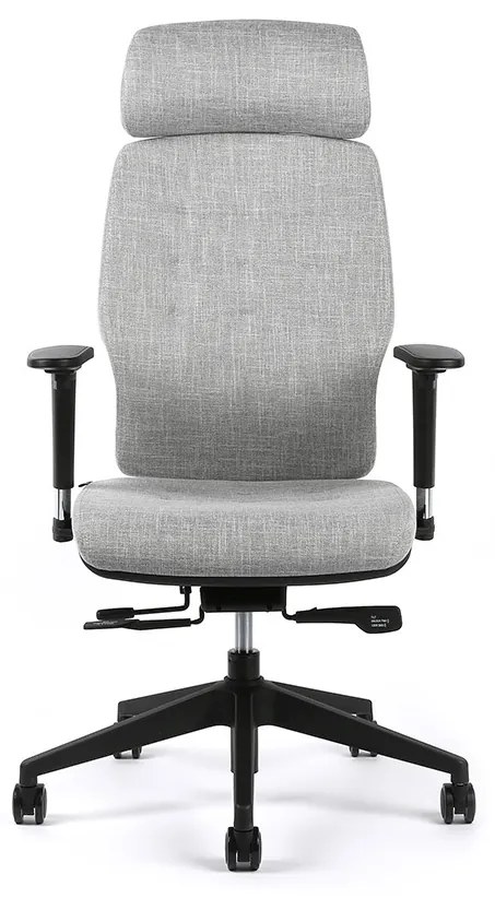 Kancelářská ergonomická židle Office Pro SELENE — více barev Černá F85