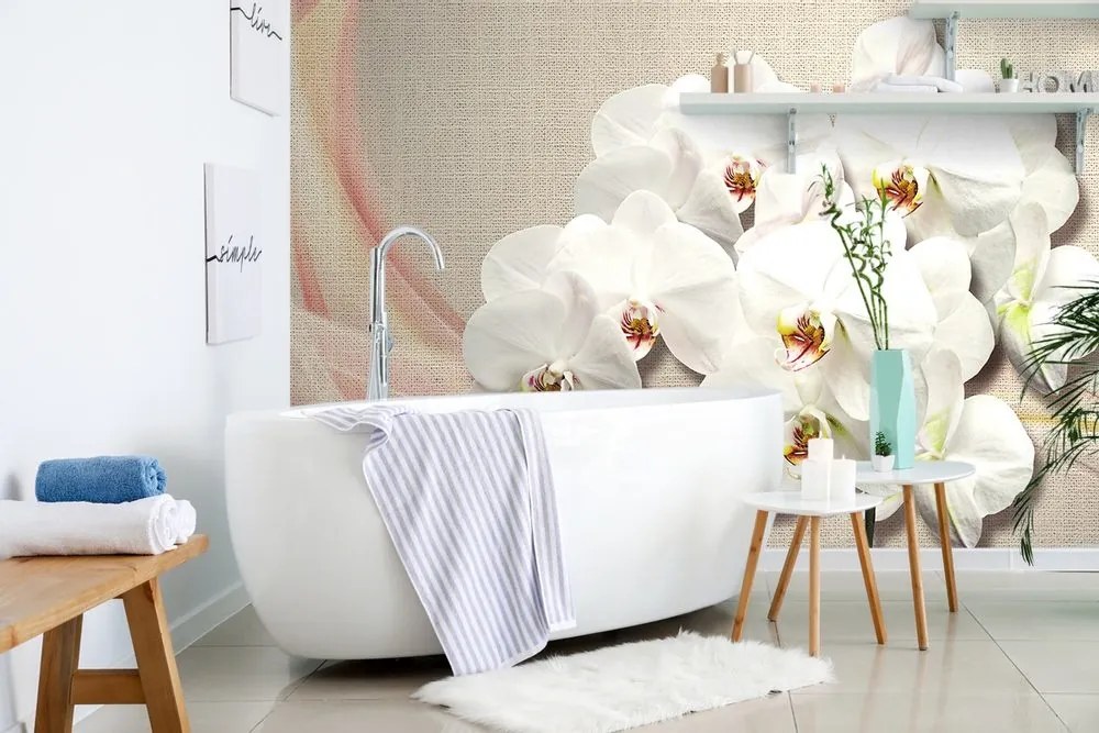 Samolepící tapeta bílá orchidej na plátně - 300x270