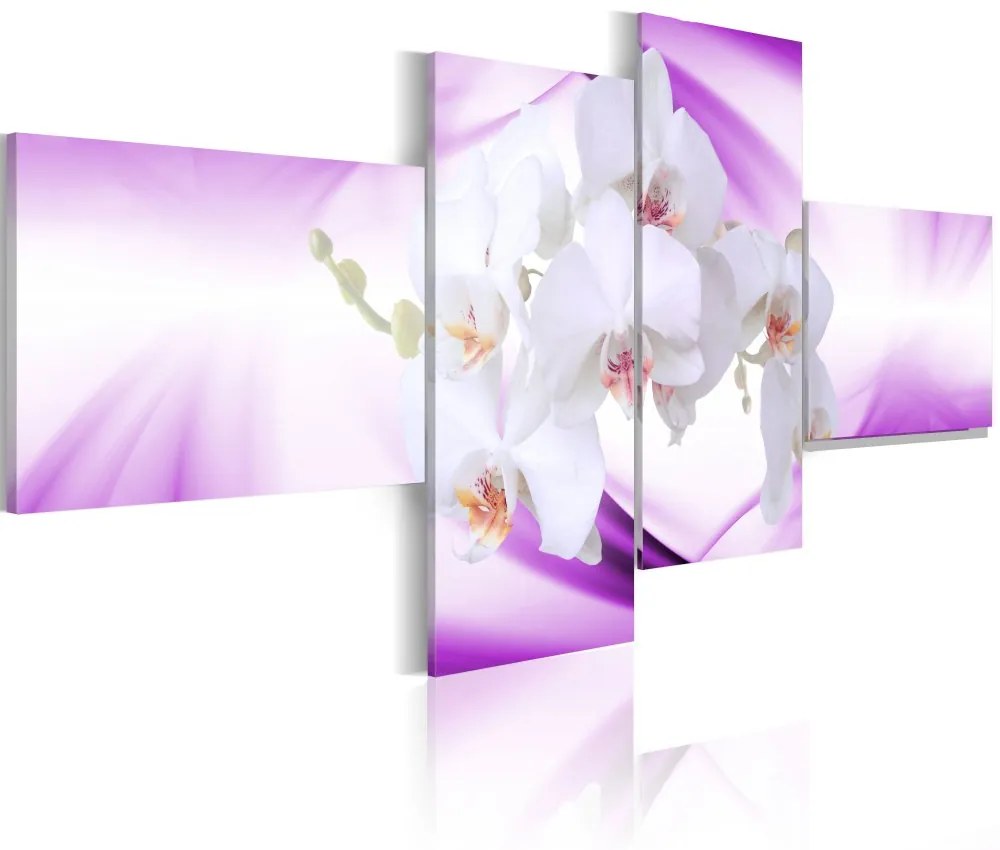 Obraz na plátně Bimago - Orchideje na fialovém pozadí 100x45 cm