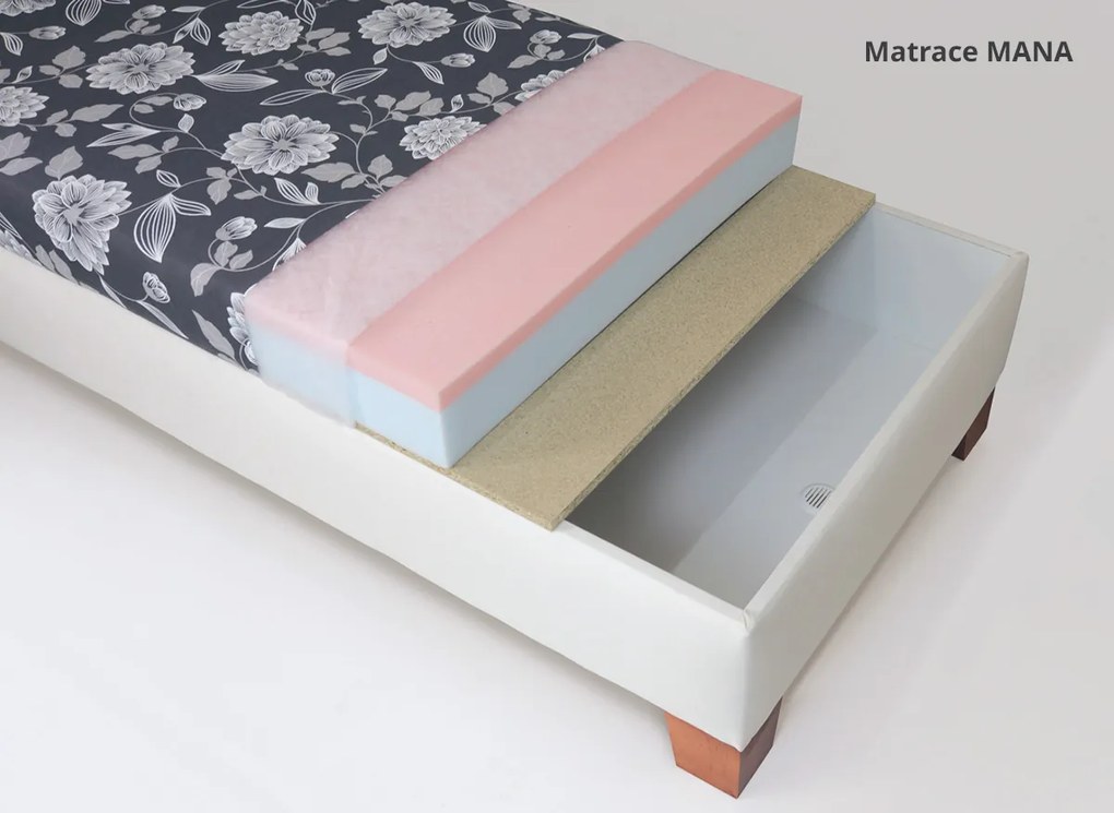 NEW DESIGN postele Čalouněná postel DONA s úložným prostorem, matrace a rošt v ceně, 180×200 cm Velikost postele: 180 × 200 cm