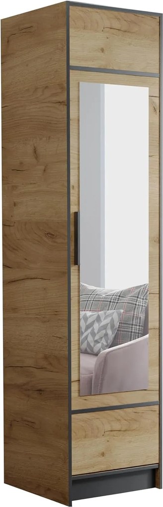 Szafa otwierana jednodrzwiowa Roj1D - 53,2x205x39 cm dub Craft zlatý