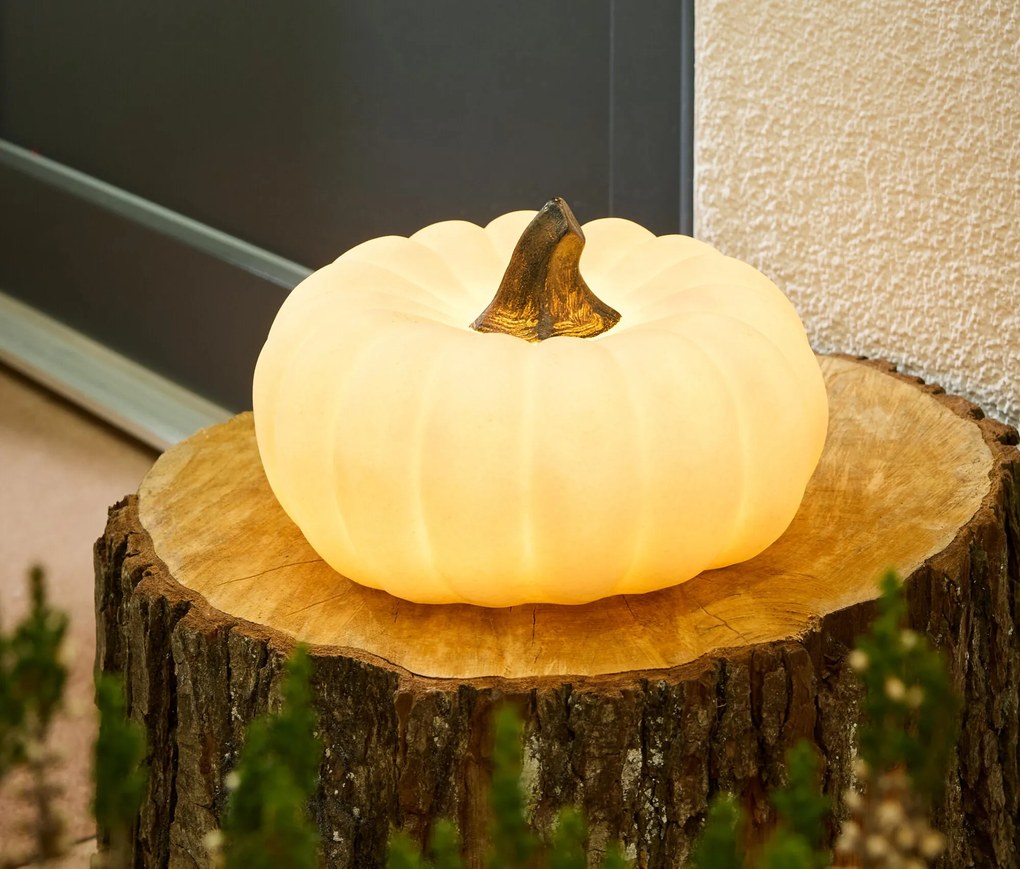 Tchibo - LED dýně, pro interiér i exteriér, 20 cm