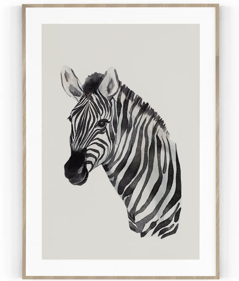 Obraz Zebra Bez okraje 30 x 40 cm - napnuté plátno na dřevěném rámu