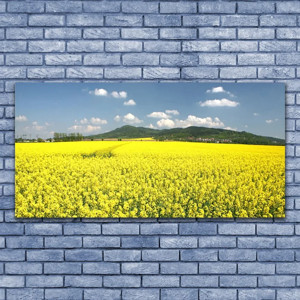 Plexisklo-obraz Pole Louka Příroda Řepka Olejka 120x60 cm | BIANO