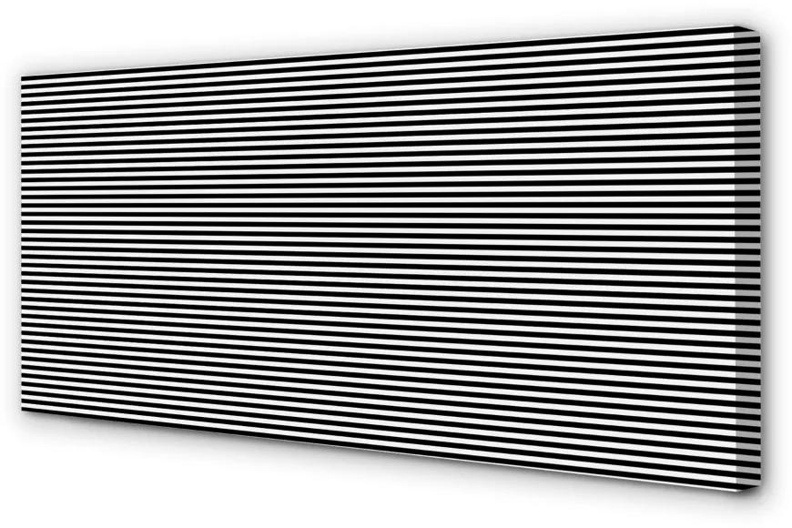 Obrazy na plátně zebra pruhy 120x60 cm