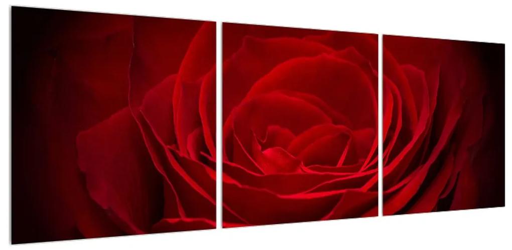 Obraz červené růže (120x40 cm)