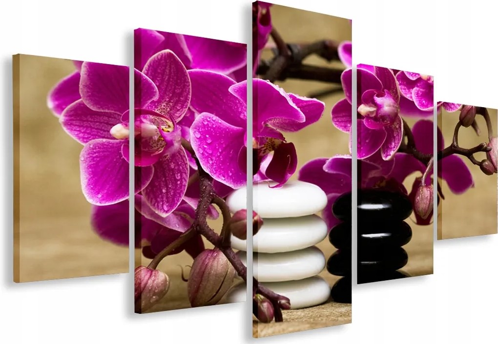 Obraz Do Obývacího Pokoje Orchideje Kamyki 200x120 Obří