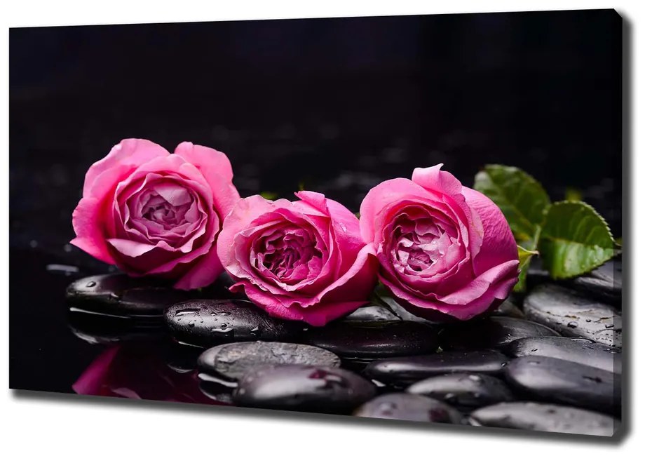 Wallmuralia Foto obraz na plátně do obýváku Růžové růže 100x70 cm
