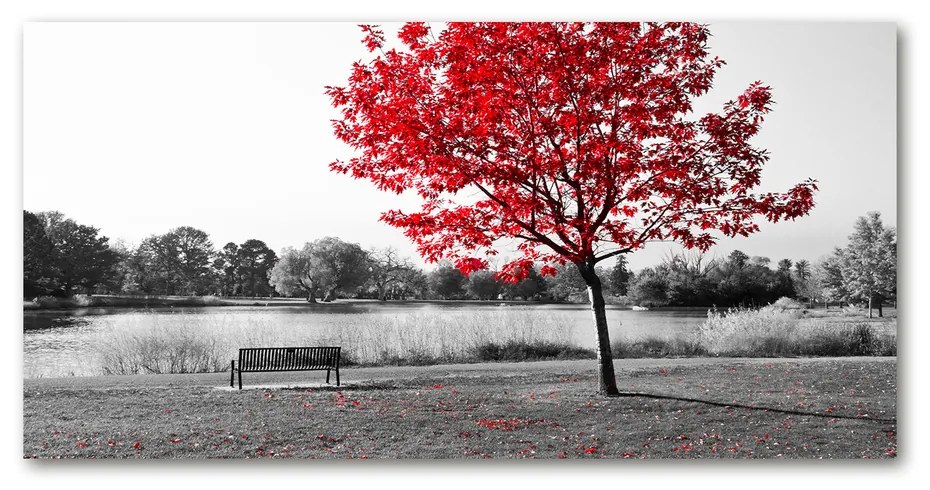 Wallmuralia Fotoobraz na skle Červený strom 100x50 cm