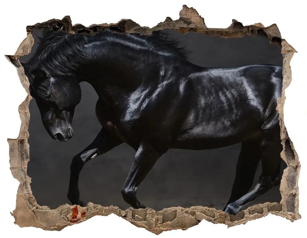 Wallmuralia Díra 3D fototapeta na stěnu Černý kůň 95x64 cm