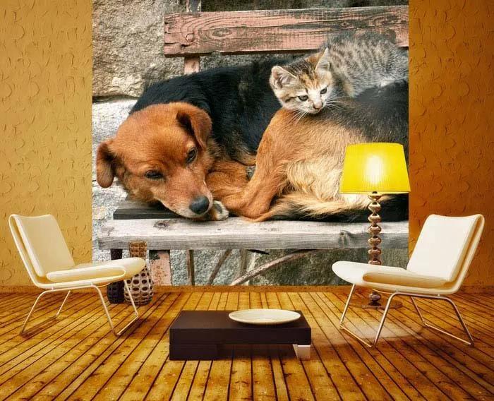 Třídílná vliesová fototapeta Kočka a pes, rozměr 225x250cm, MS-3-0221