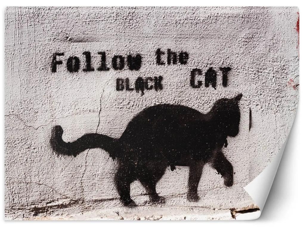 Fototapeta, Banksy Graffiti Černá kočka - 100x70 cm