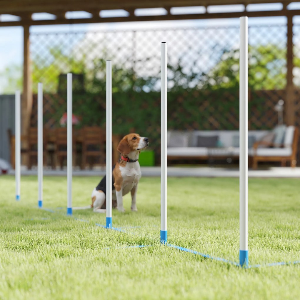 Sada pro trénink agility pro psy PawHut s pytlem z polyesteru 600D bílo modrá 305 x 60 x 94 cm pro psí sporty | Aosom.de