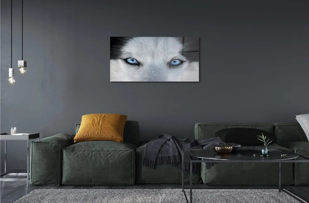 Obraz na skle wolf Eyes 120x60 cm