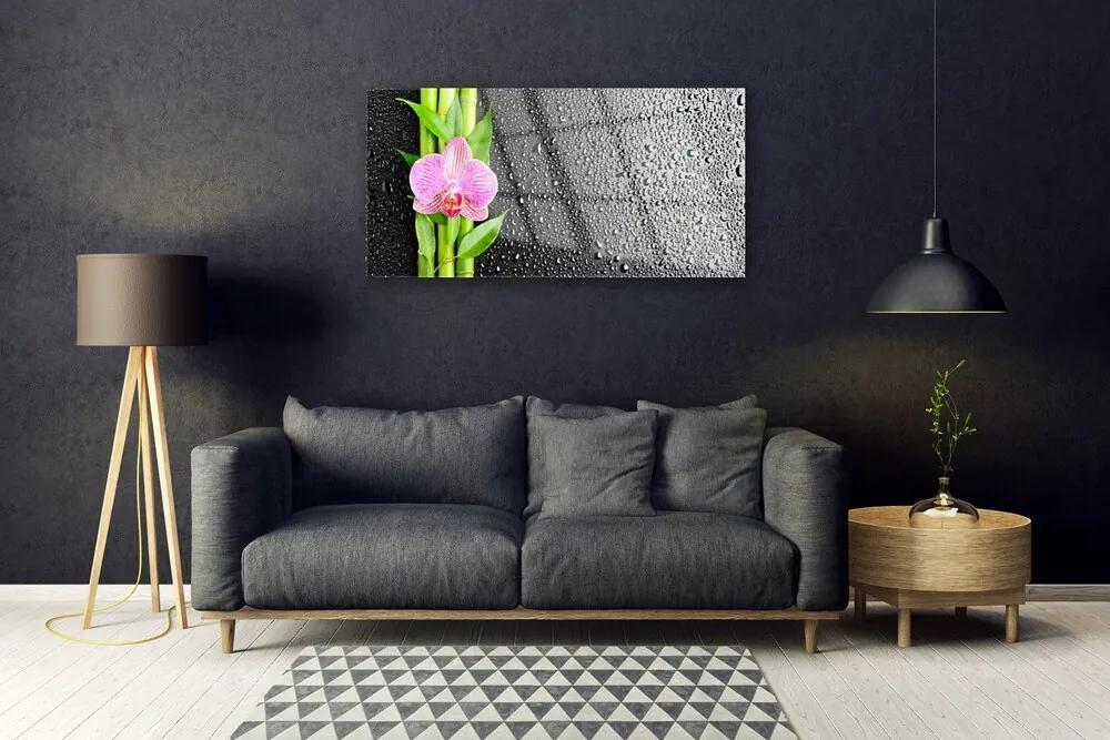 Obraz na skle Bambus Stonke Květ Rostlina 140x70 cm