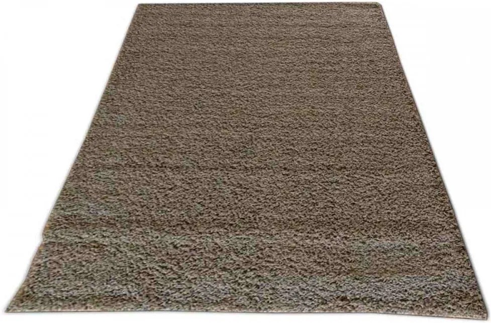Kusový koberec Shaggy vlas 50 mm cappuccinový, Velikosti 120x170cm