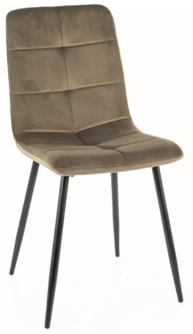 SIGNAL Jídelní židle - IVO Velvet, různé barvy na výběr Čalounění: světle šedá (Bluvel 14)