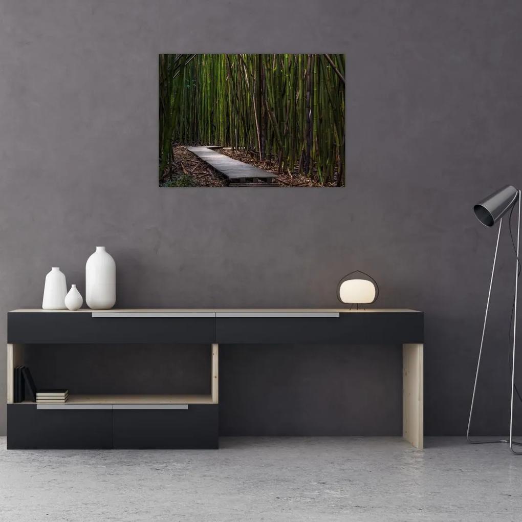 Skleněný obraz - Mezi bambusy (70x50 cm)