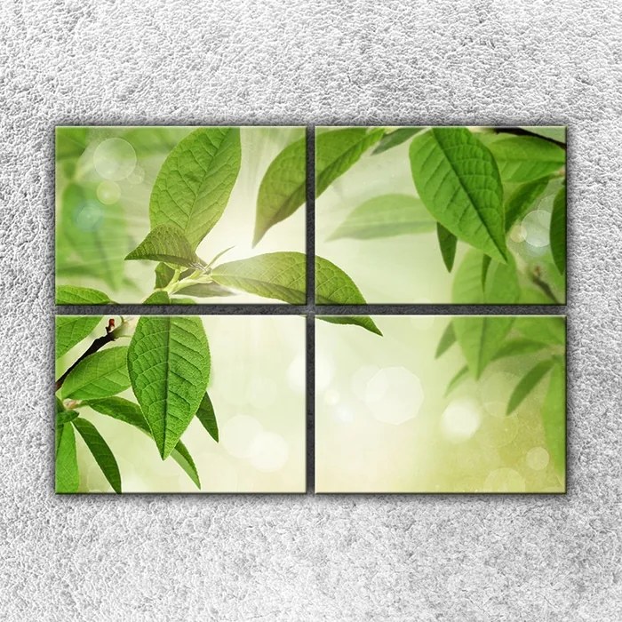 4 dílný obraz na stěnu Zelené listy