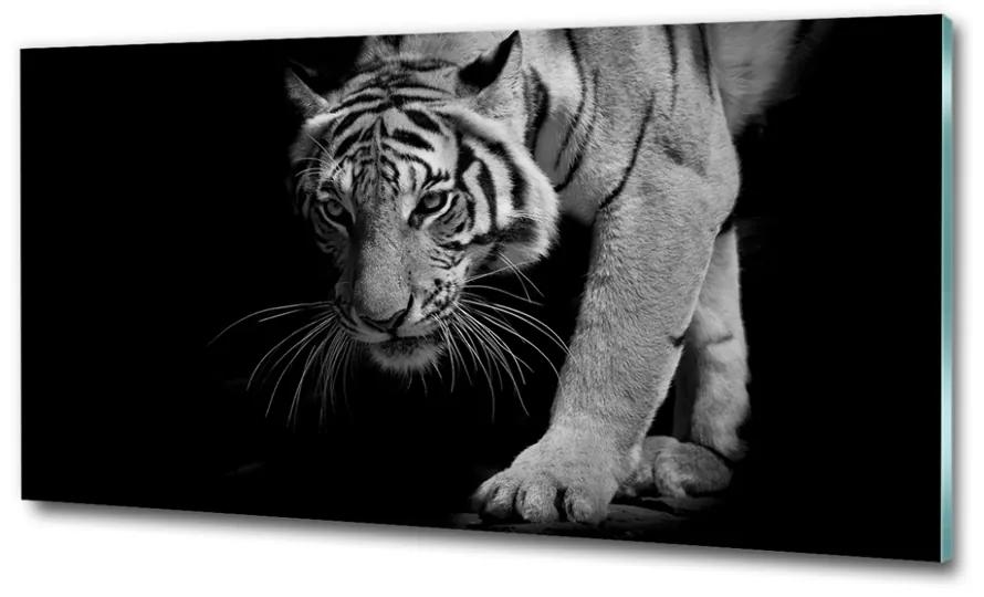 Wallmuralia Fotoobraz na skle Tygr 100x50