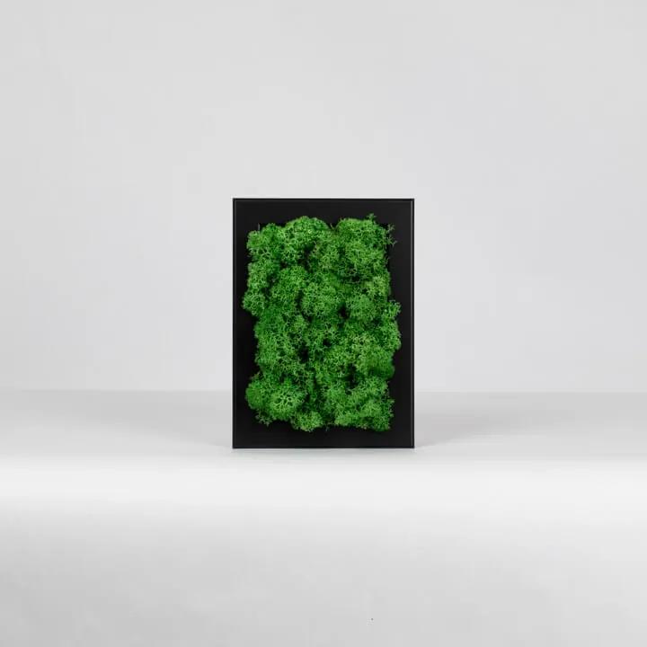 Mechový miniobraz | 15x10 cm | lesně zelený - černý rám