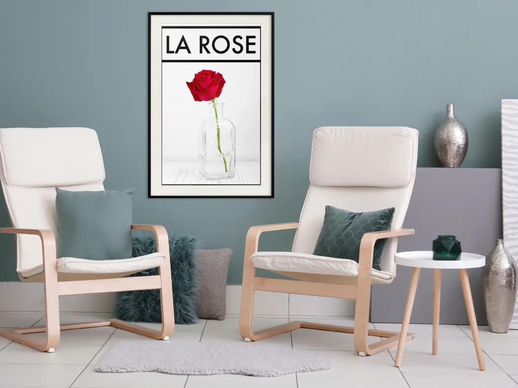 Plakát La Rose - anglické texty a červené růže ve váze s vodou