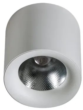 LED bodové světlo Mane 20W Dimm bílé
