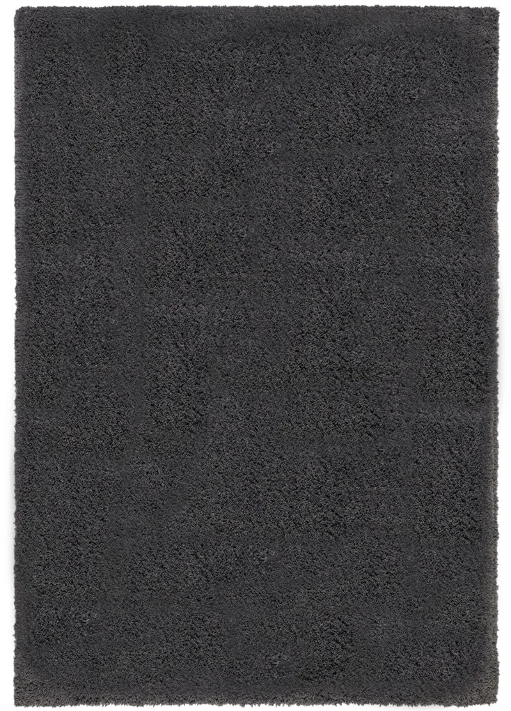 Flair Rugs koberce Kusový koberec Shaggy Teddy Charcoal ROZMĚR: 140x200