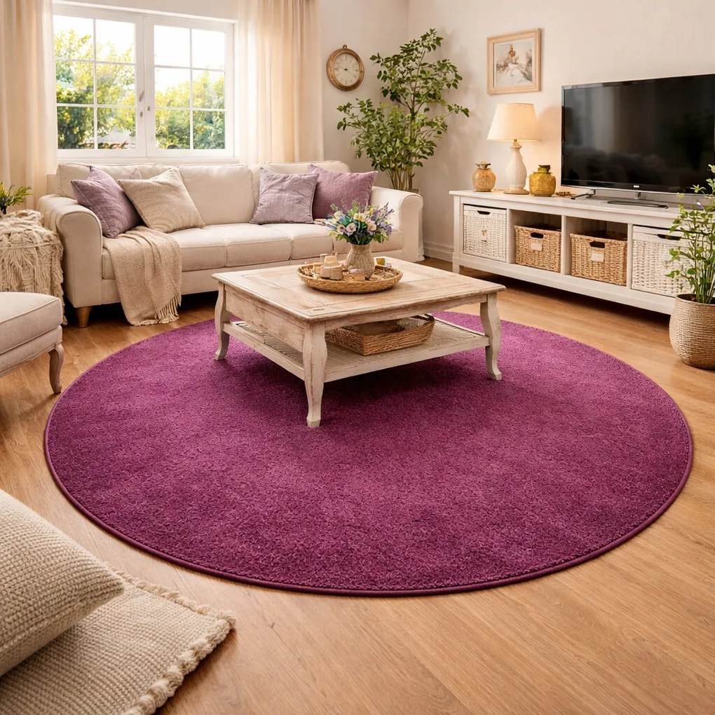 Vopi, Kusový koberec Eton fialový 48 kruh, 100x100 (průměr) kruh, fialová, ložnice