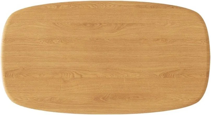 Konferenční stolek z dubového dřeva v přírodní barvě 60x120 cm Charlotte – Micadoni