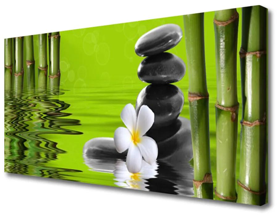 Obraz na plátně Bambus Kameny Rostlina 125x50 cm
