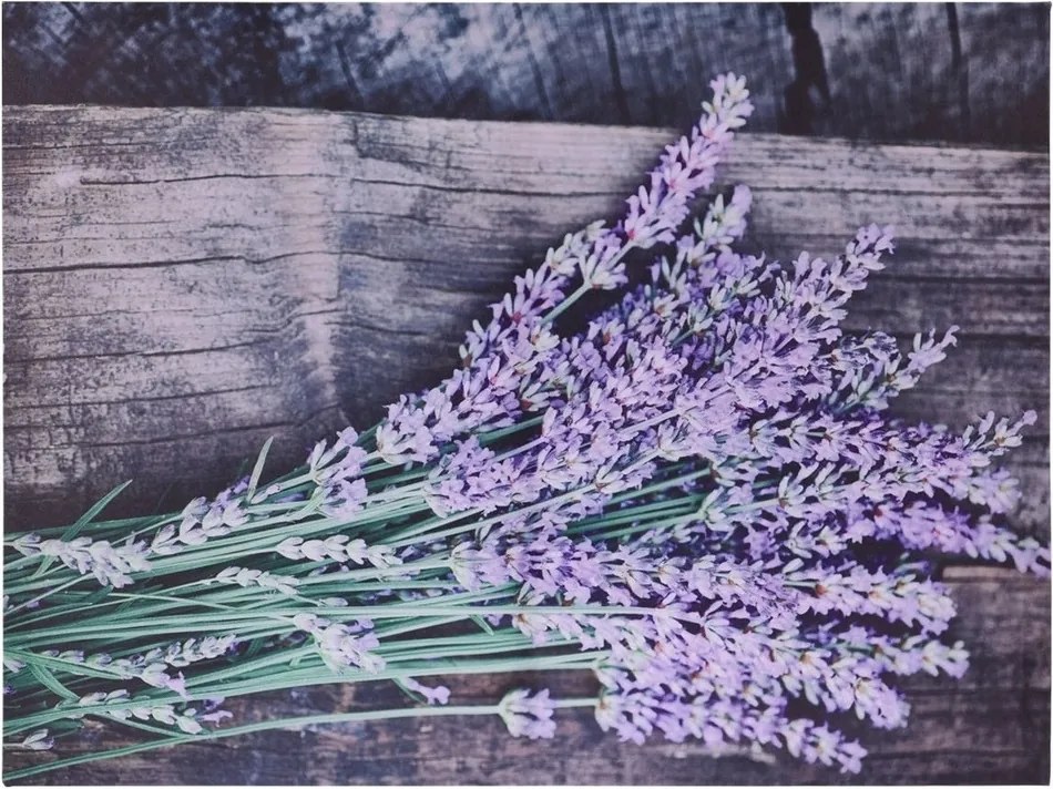 Obraz na plátně Nantes Lavender, 78 x 58,5 cm