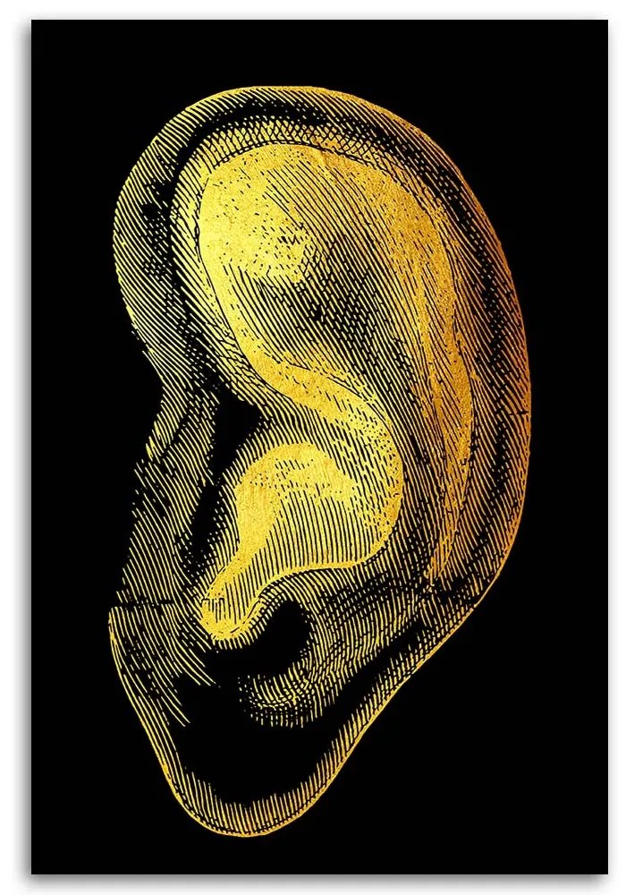 Gario Obraz na plátně Zlatá anatomie, ucho - Gab Fernando Rozměry: 40 x 60 cm