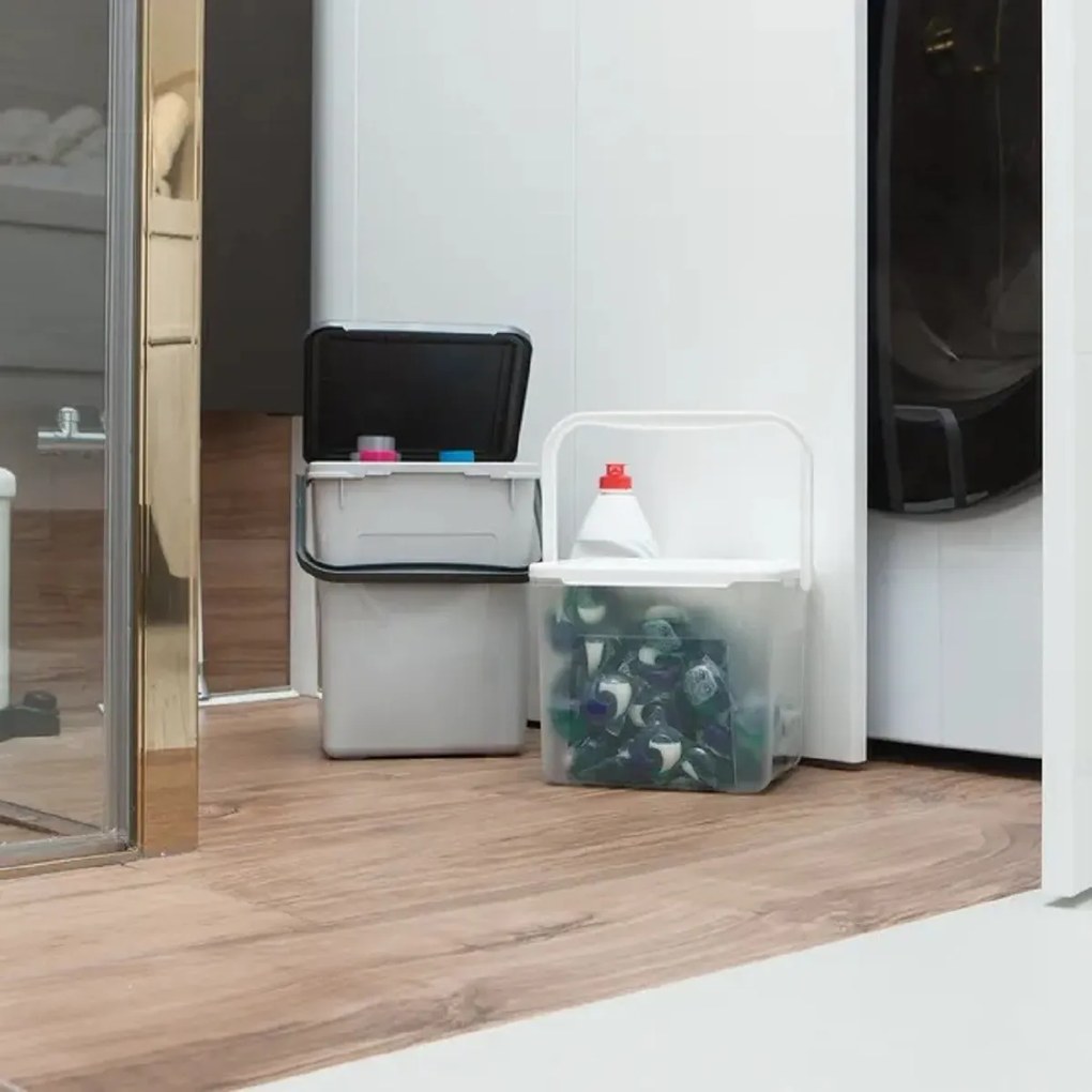 Rotho Nádoba na prací prášek, granule nebo bioodpad – 4,5 l DETERGENT Transparentní