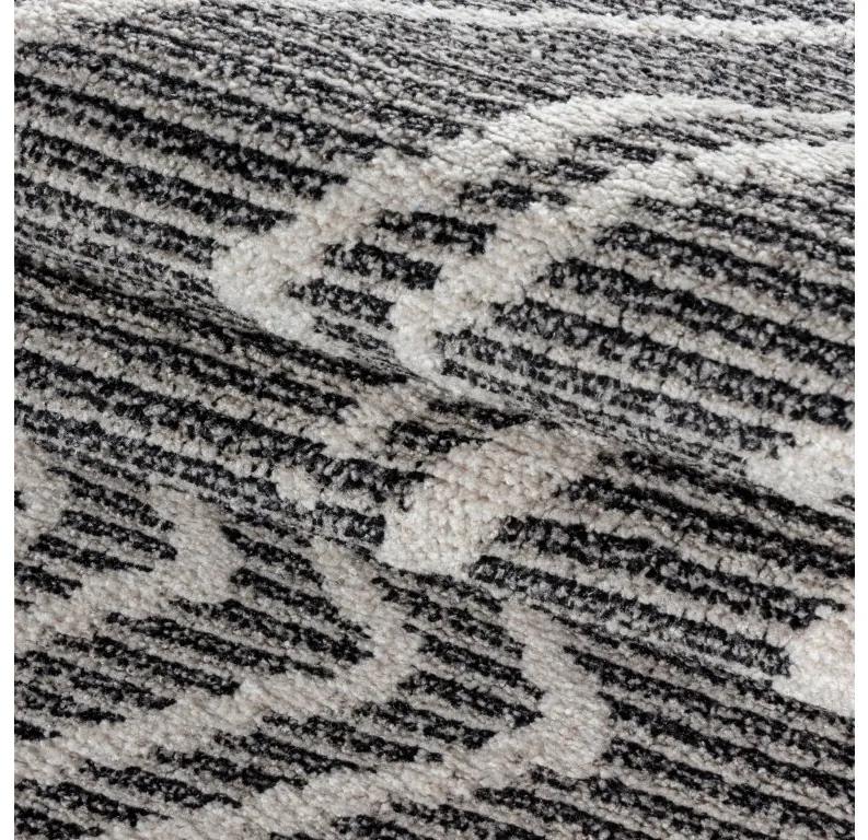 Ayyildiz Kusový koberec TAZNAXT 5104, Černá Rozměr koberce: 200 x 290 cm